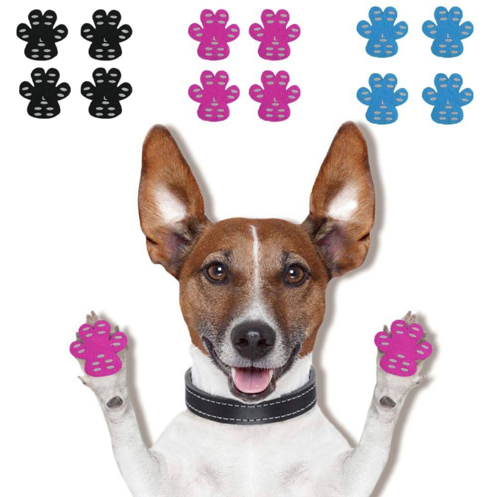 Dog Paw Protectors - FREE TODAY ONLY – Classy Pet Life