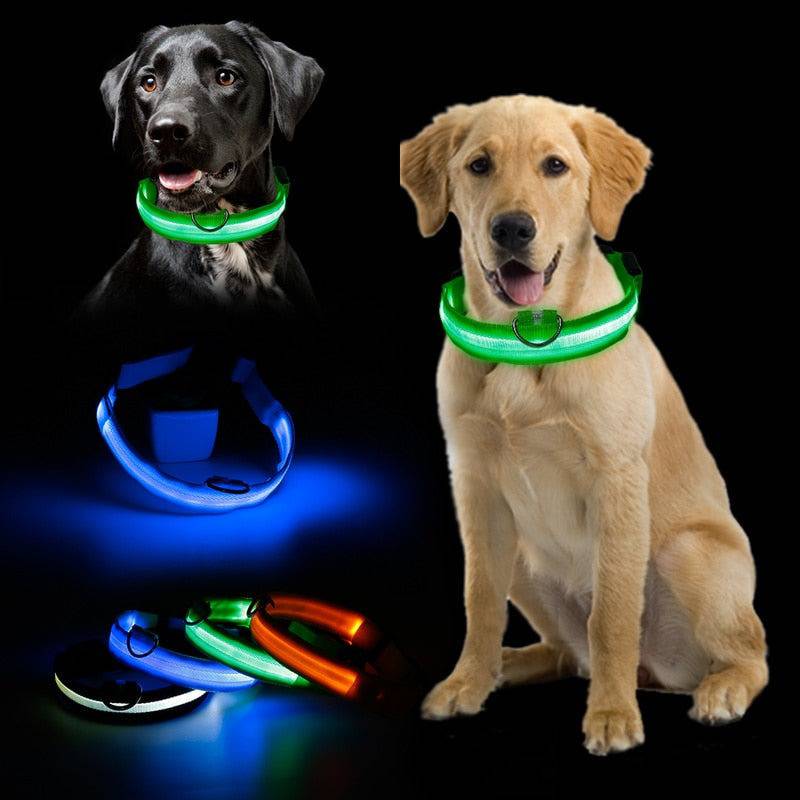 LED Pet Collar – Classy Pet Life