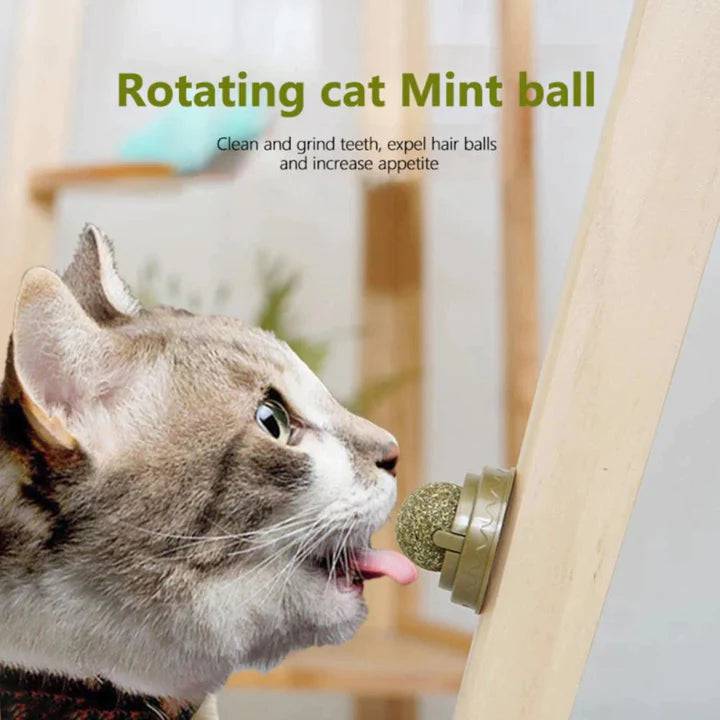 Wall Stick-on Catnip Ball Licker for Cats™ - FREE TODAY ONLY – Classy ...