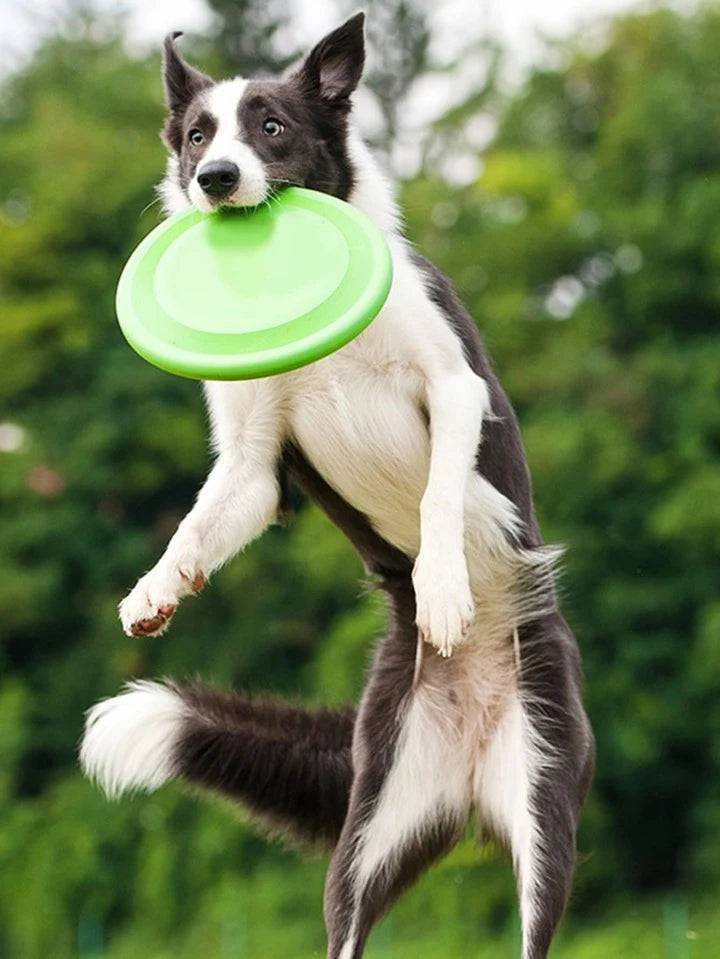 Pet Flying Disc ( 3 PCs) - Free TODAY ONLY – Classy Pet Life