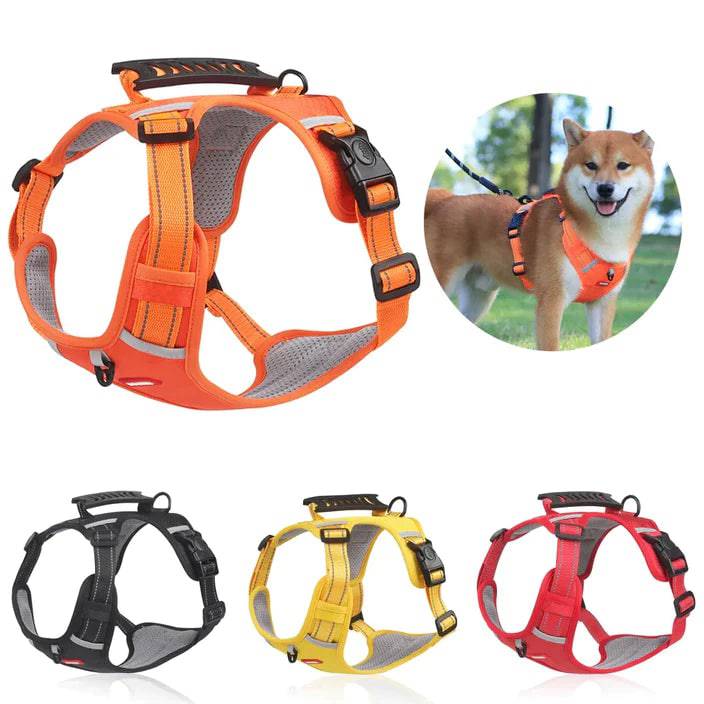No Pull Reflective Dog Harness – Classy Pet Life