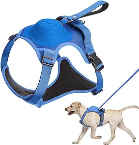 Dog Harness and Retractable Leash Set All-in-One - FREE SHIPPING ...
